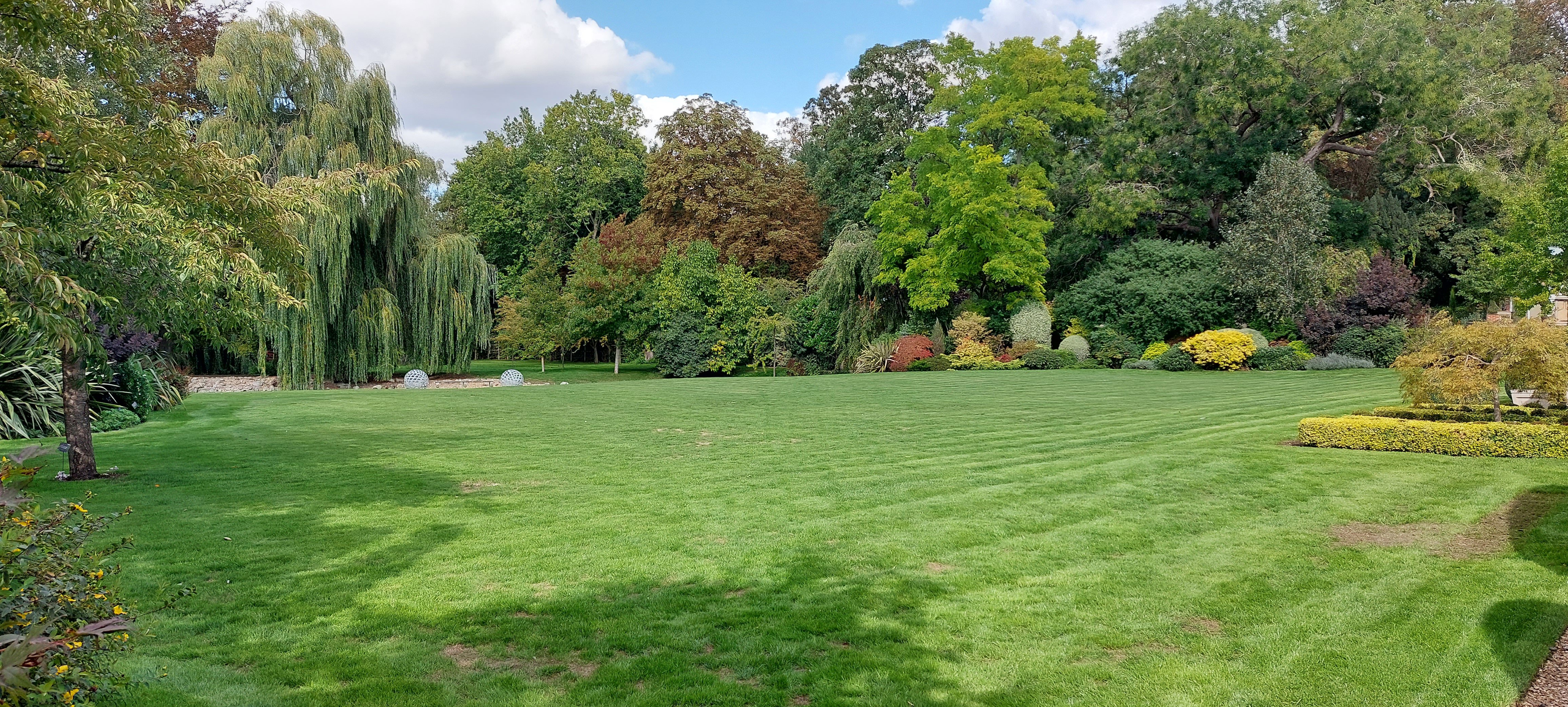 New lawn maintenance store