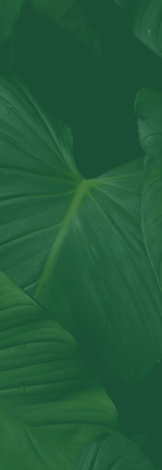 APL | Find a Landscaping Professional